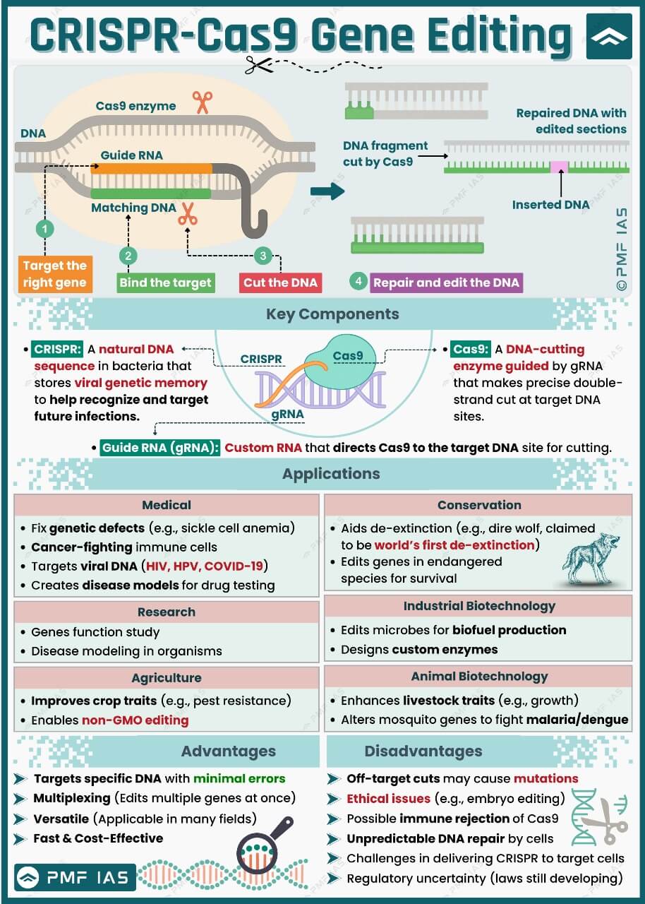 1st Personalised Gene-Editing Therapy